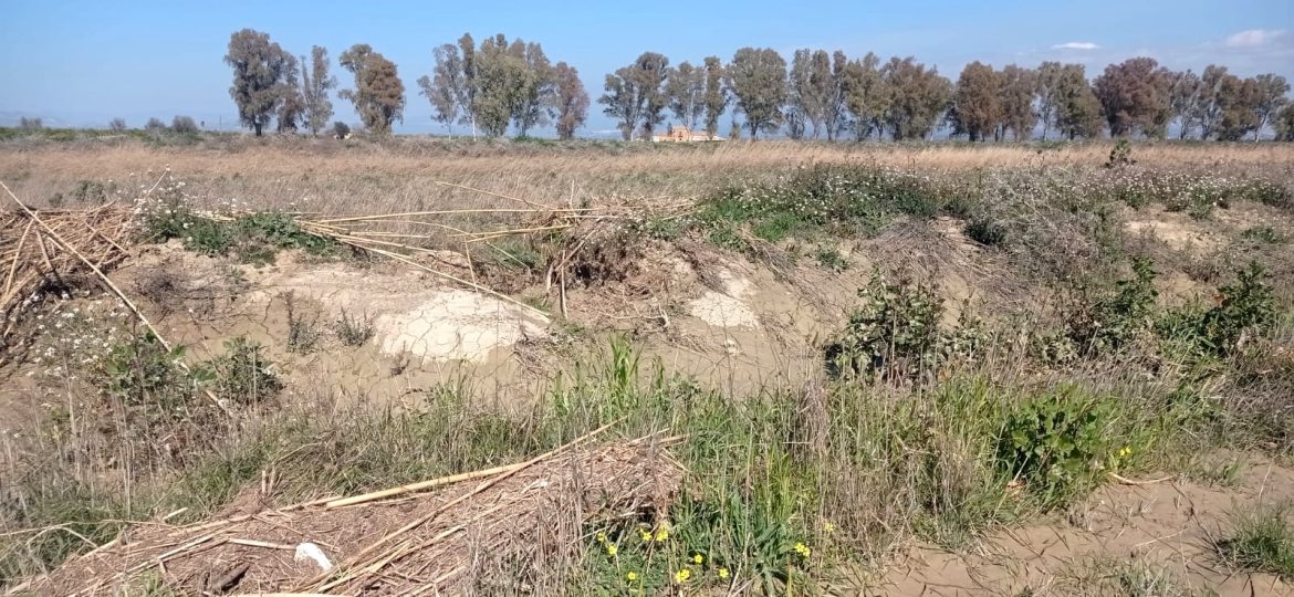 Sicilia, al via la manutenzione del fiume Gornalunga. Schifani ...
